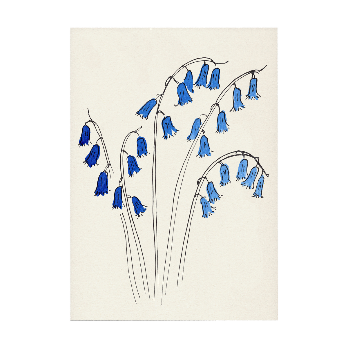 Bluebell | Hand-Painted Art Print– Scribble and Daub