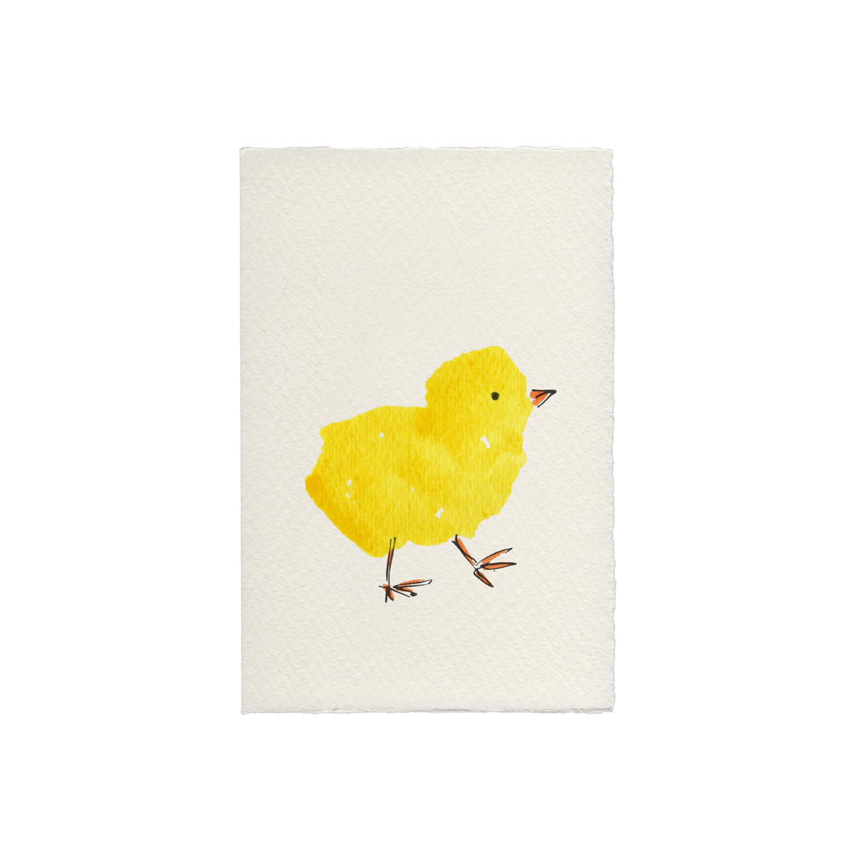 Chick– Scribble and Daub