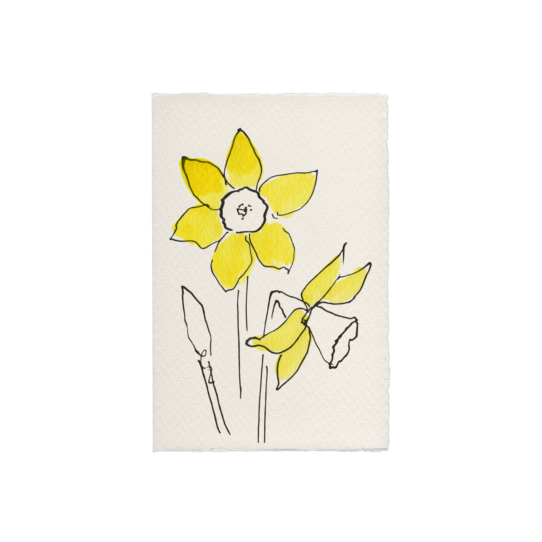 | Home– Scribble and Daub
