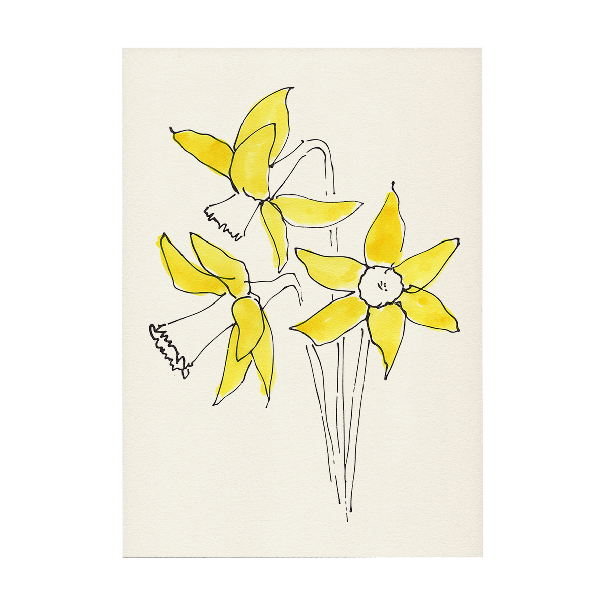 Daffodil Print– Scribble and Daub
